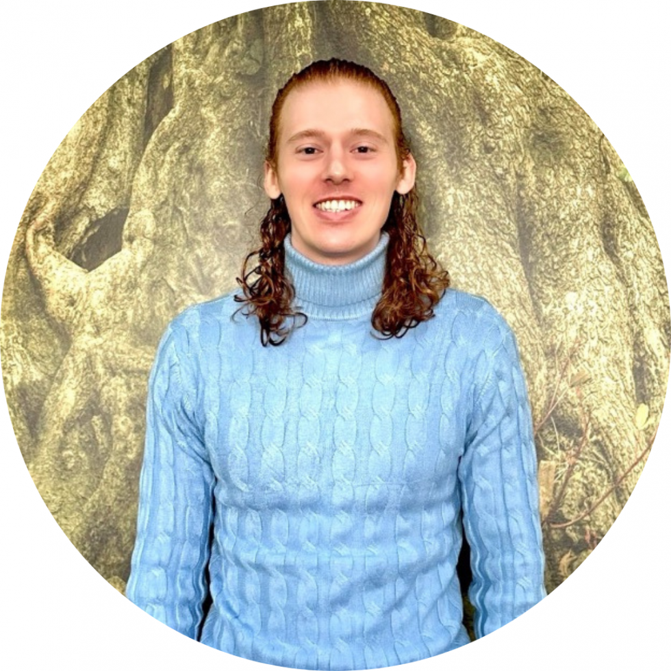 home - Homewood, IL Counseling Services